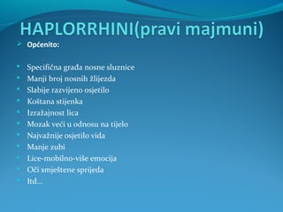 Majmuni | PPT