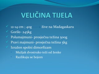 Majmuni | PPT