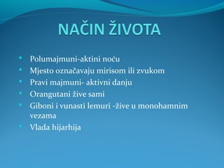 Majmuni | PPT