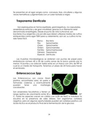 Microorganismos patógenos con mayor presencia en conductos radiculares ...