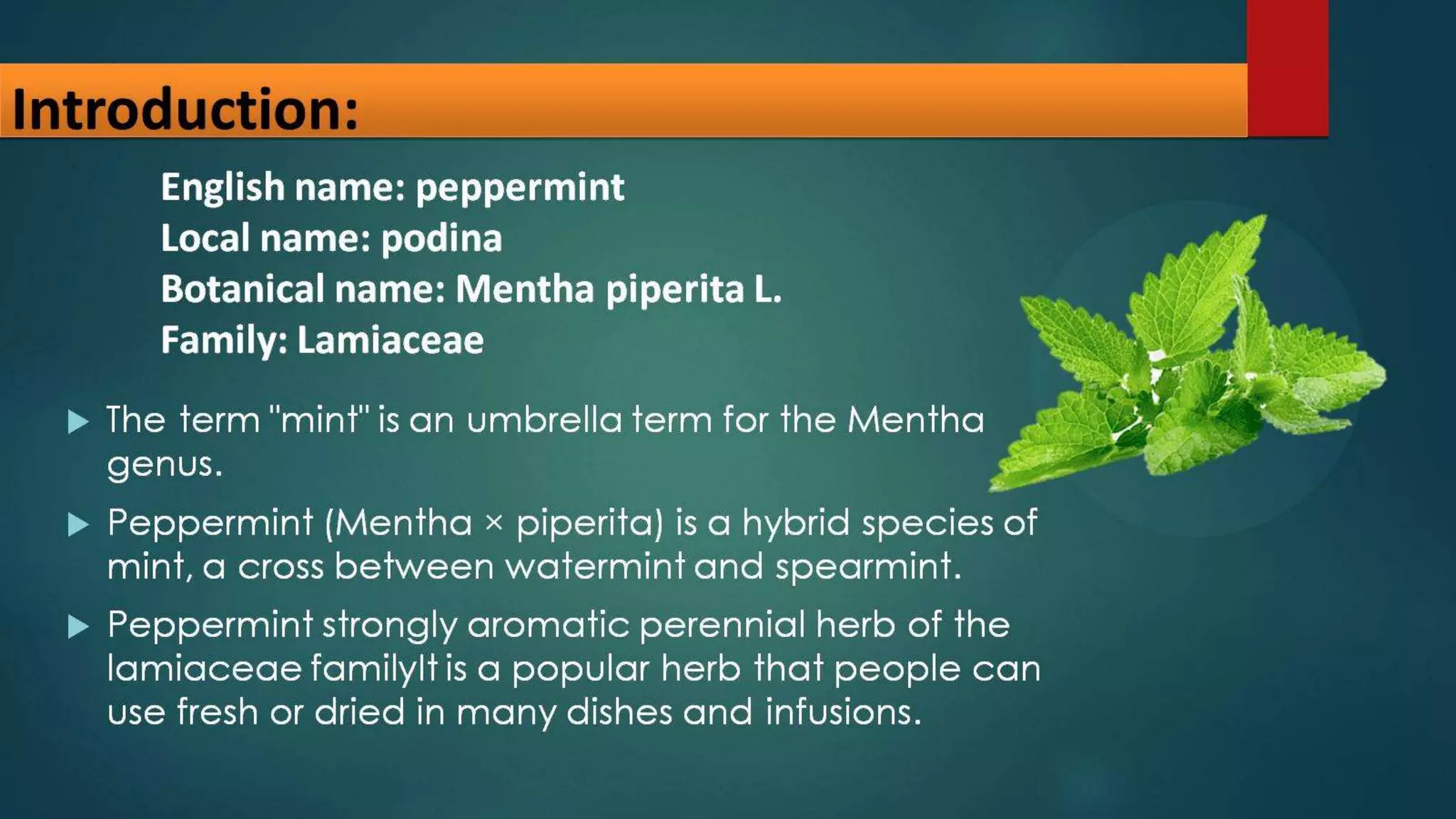 botanical description, floral biology , breeding methods of mint and ...