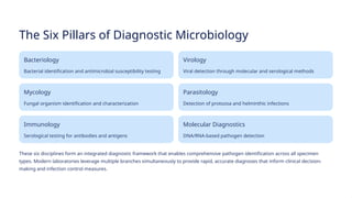 Major-Branches-of-Diagnostic-Microbiology.pptx