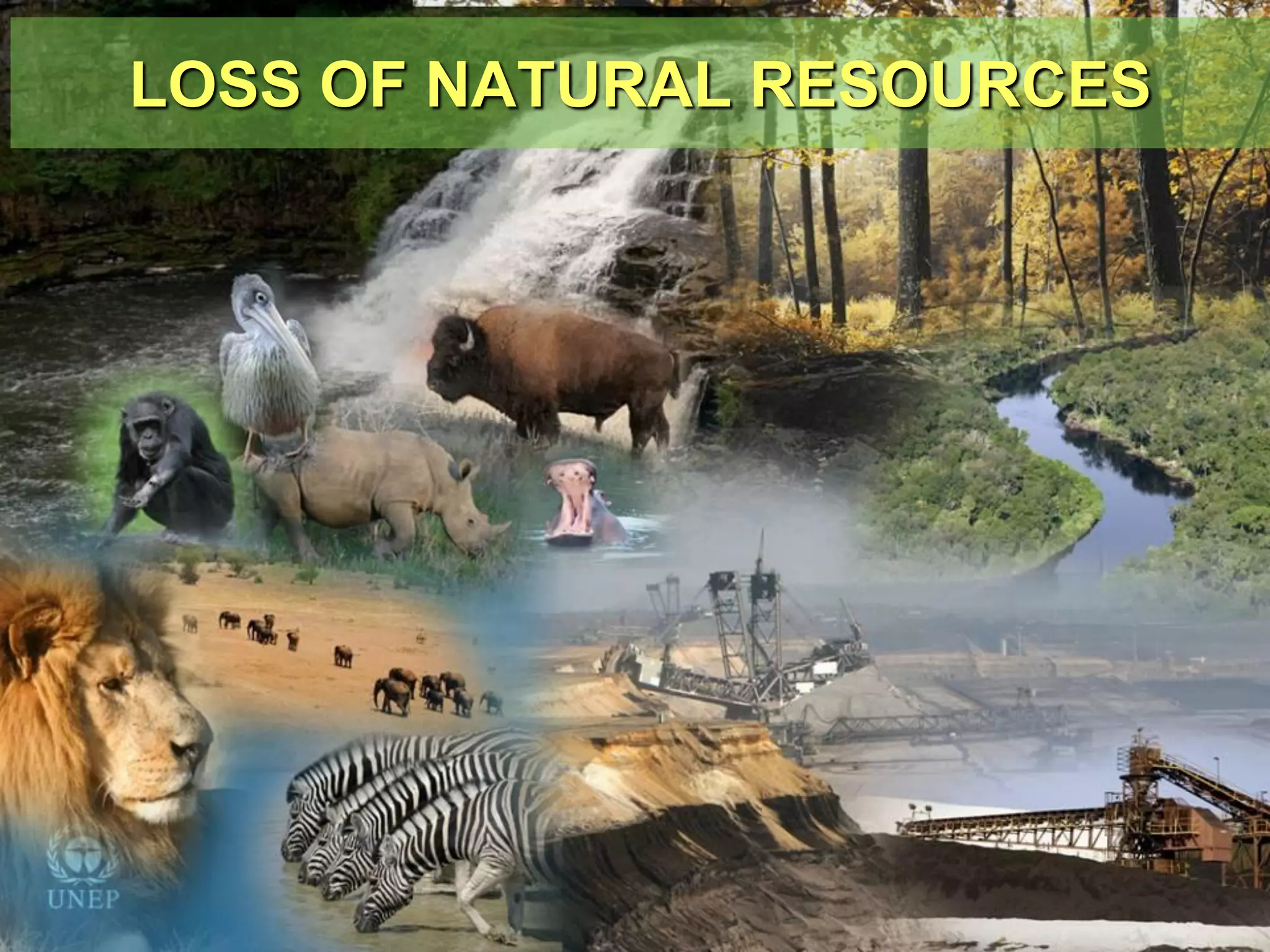 Major environmental-problems | PDF