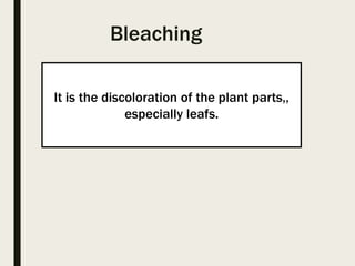 Major abnormalities in plants | PPTX