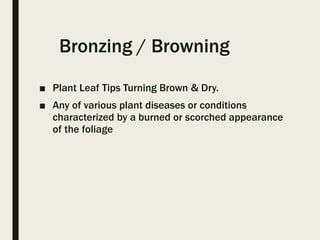 Major abnormalities in plants | PPTX