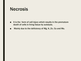 Major abnormalities in plants | PPTX