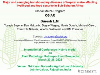 Major and emerging transboundary diseases of tropical maize affecting ...