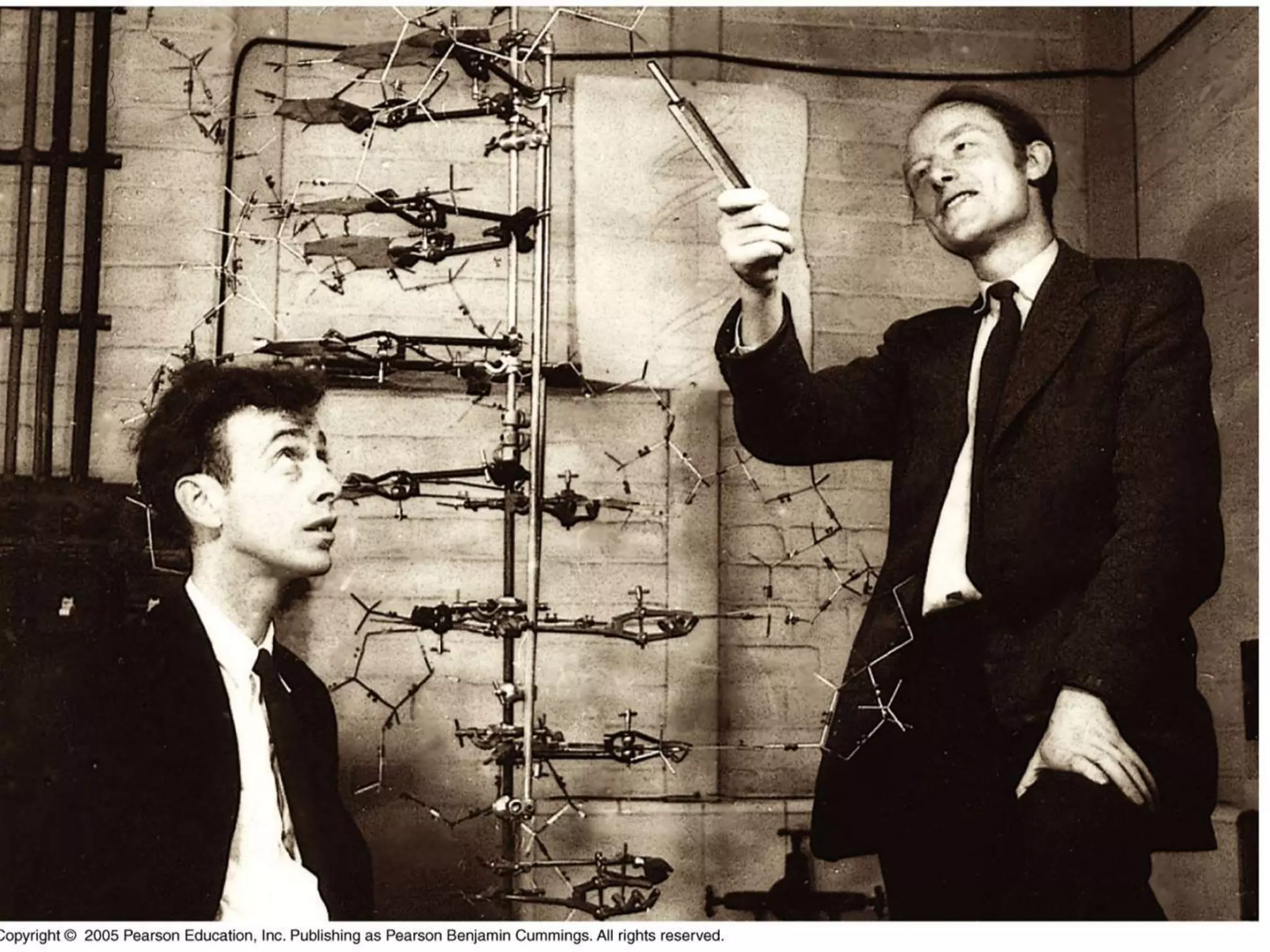 Major and minor grooves dna | PPTX