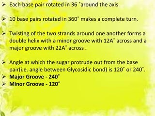 Major and minor grooves dna | PPTX
