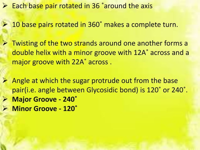 Major and minor grooves dna | PPTX