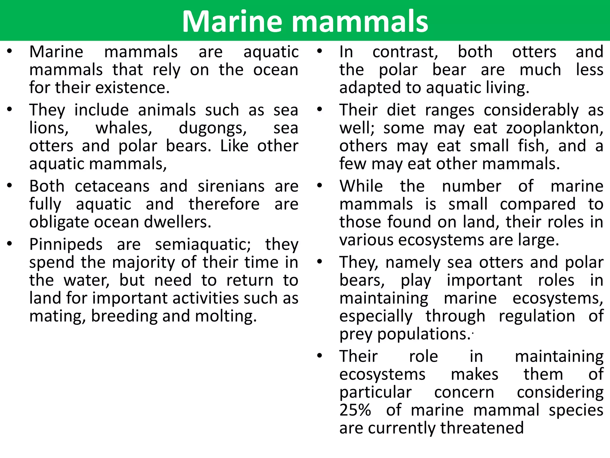 Major Aquatic Mammals and their importance by B.pptx