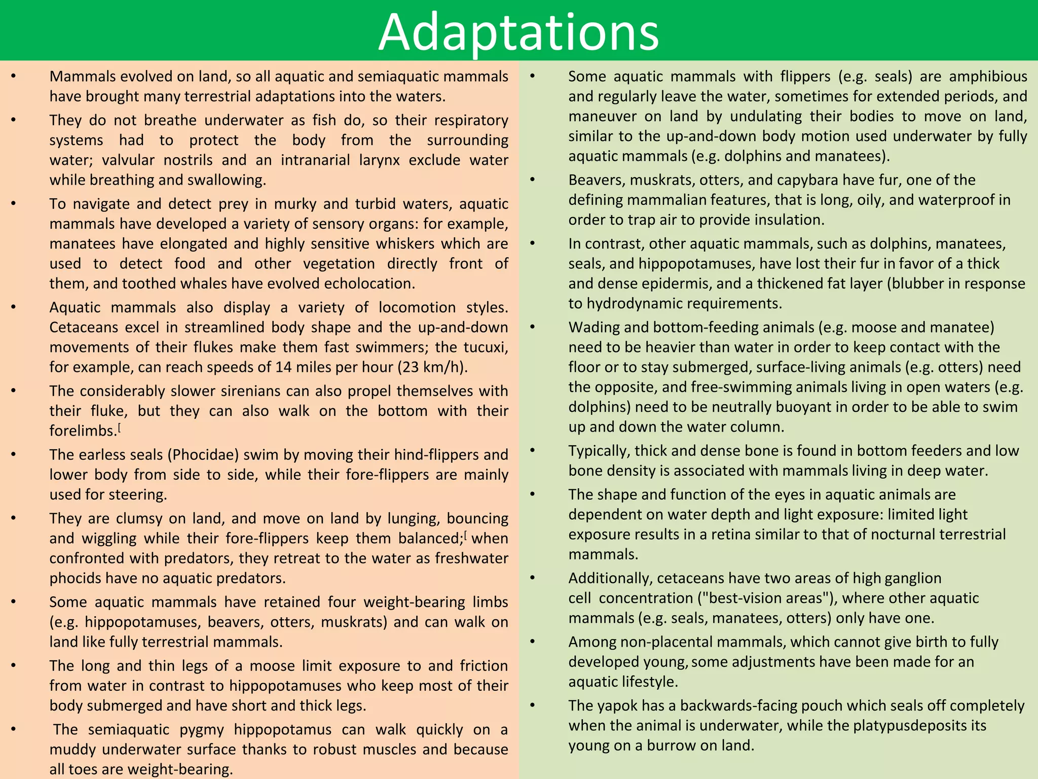 Major Aquatic Mammals and their importance by B.pptx