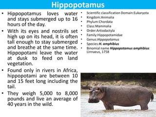 Major Aquatic Mammals and their importance by B.pptx