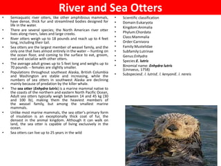 Major Aquatic Mammals and their importance by B.pptx