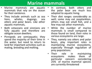 Major Aquatic Mammals and their importance by B.pptx