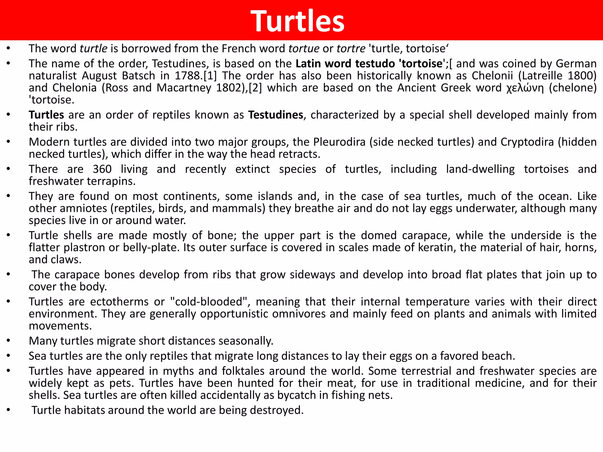 Major Aquatic Reptiles with special focus on Anatomy and Biology and ...