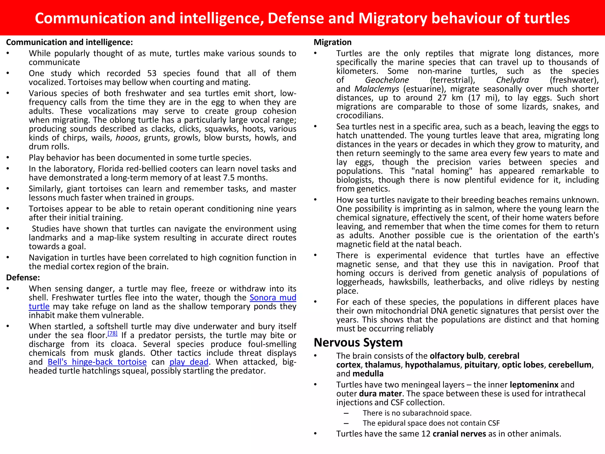 Major Aquatic Reptiles with special focus on Anatomy and Biology and ...