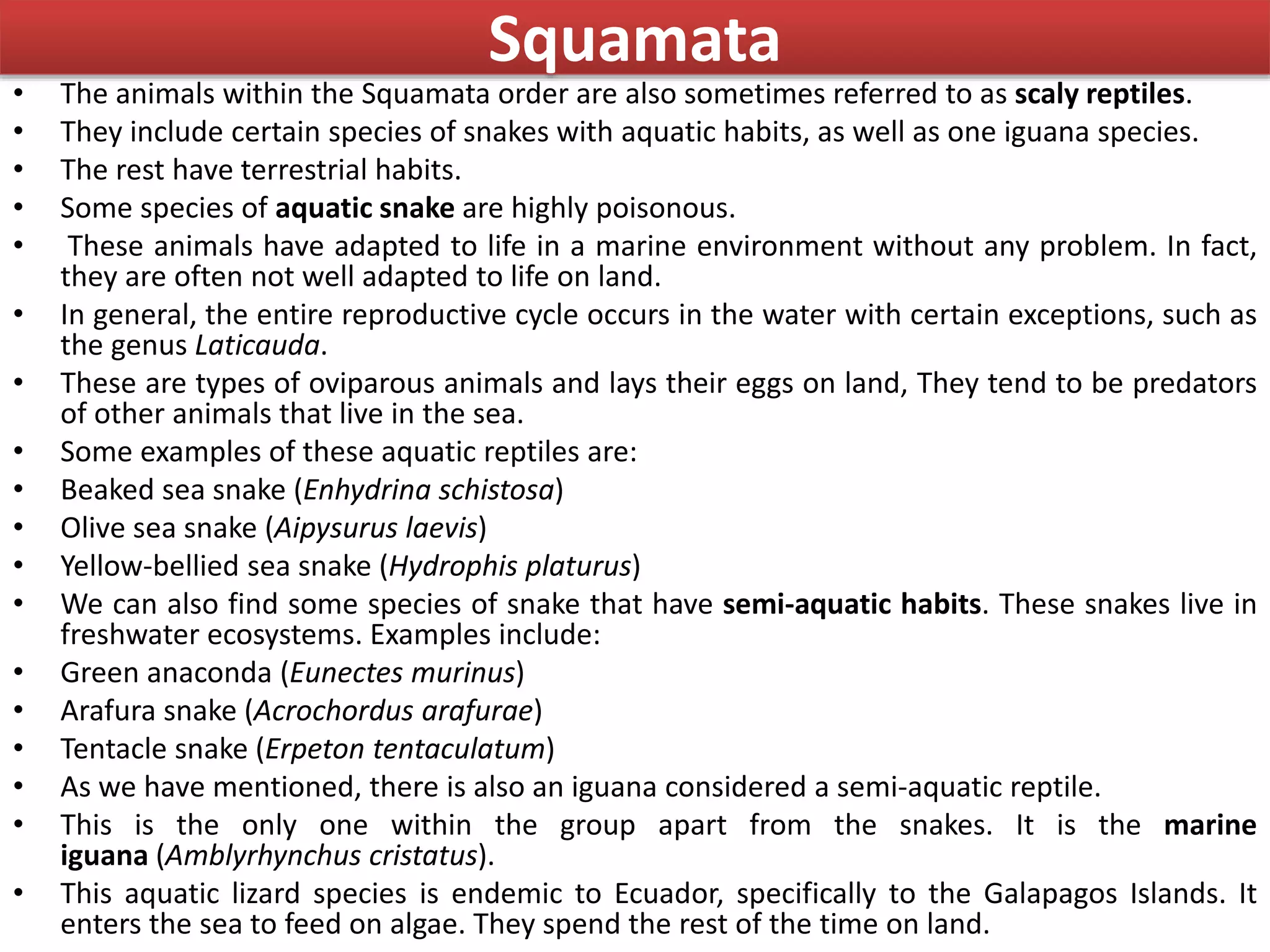 Major Aquatic Reptiles with special focus on Anatomy and Biology and ...