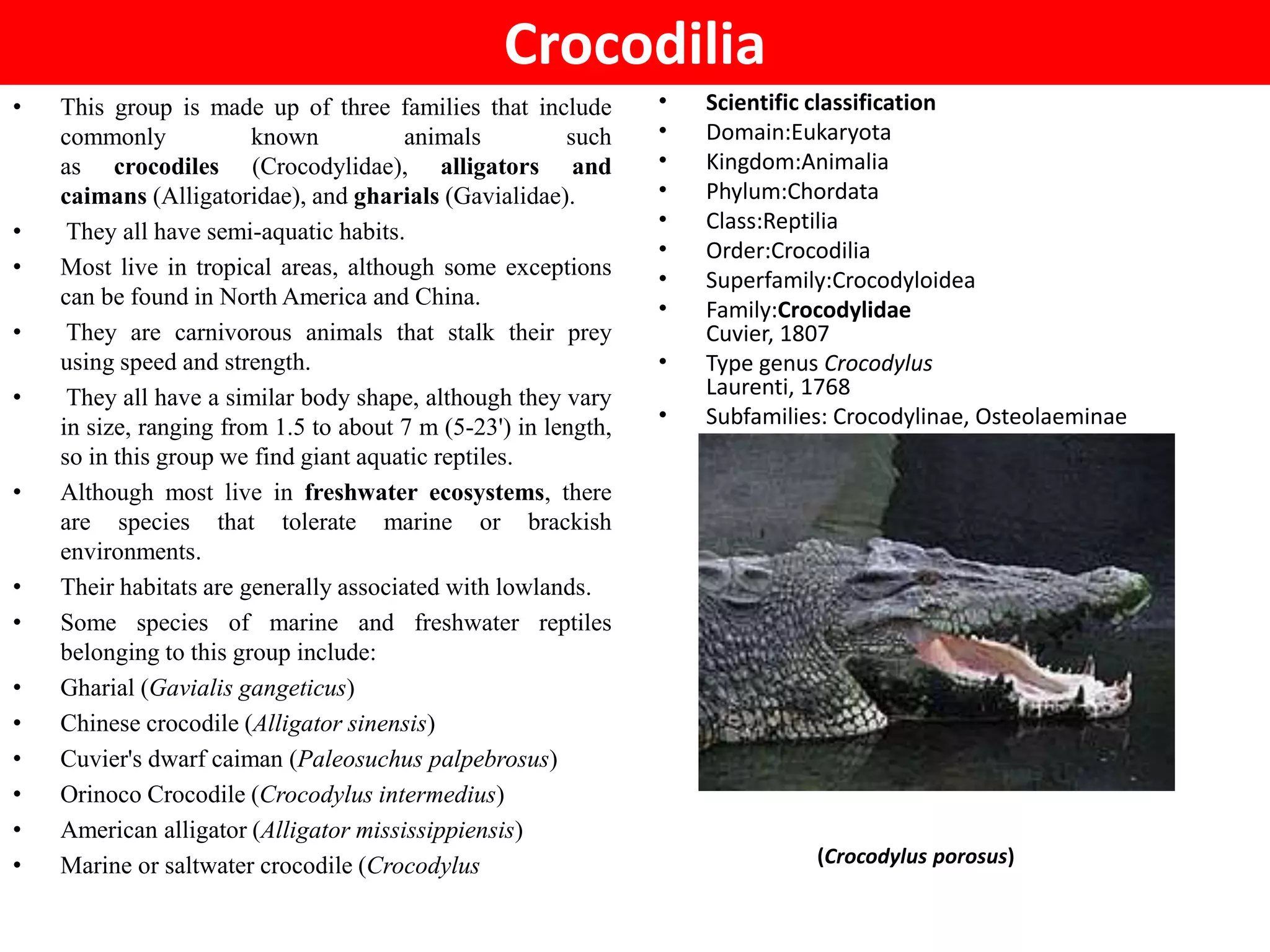 Major Aquatic Reptiles with special focus on Anatomy and Biology and ...