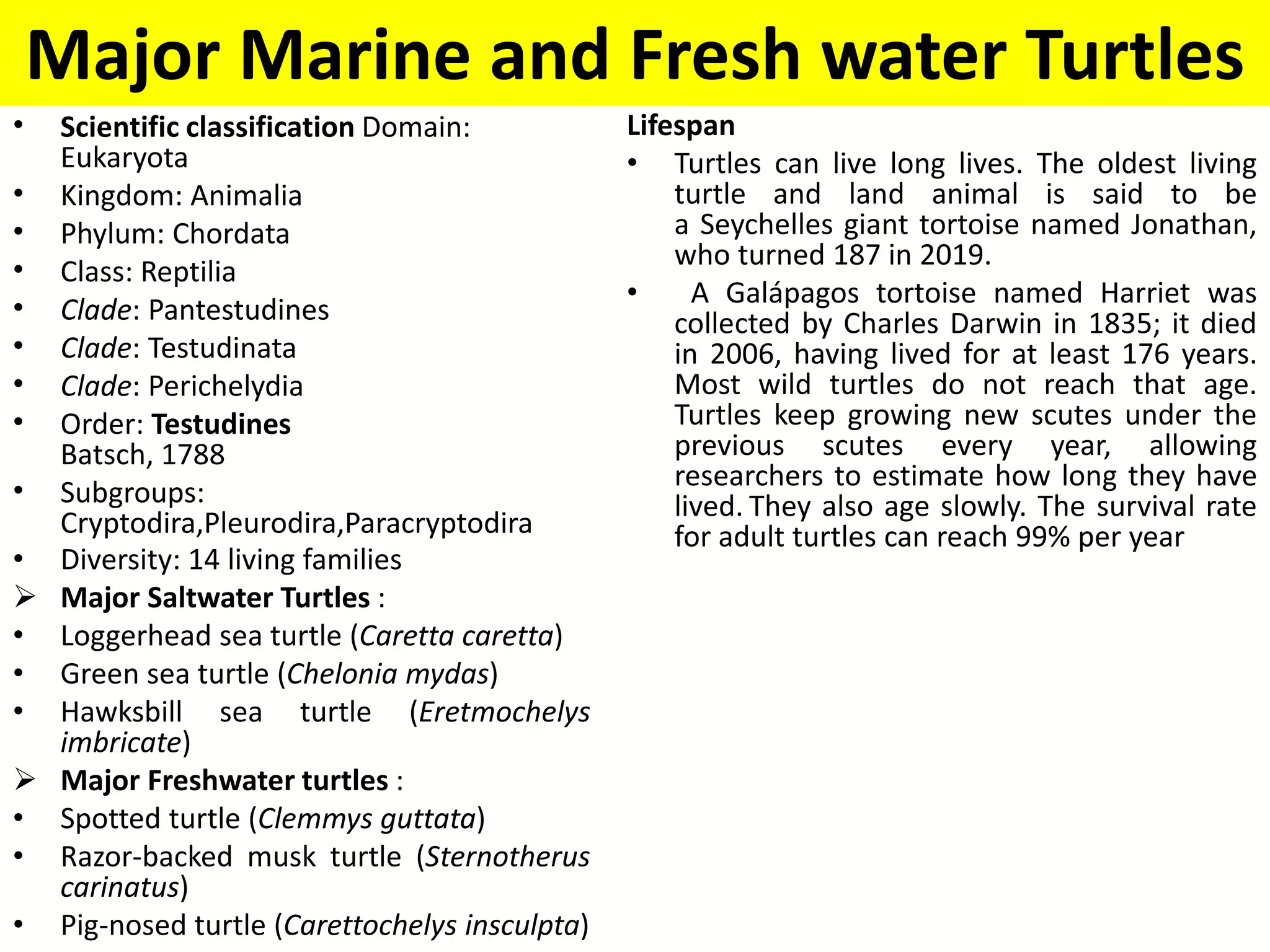 Major Aquatic Reptiles with special focus on Anatomy and Biology and ...