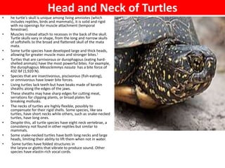 Major Aquatic Reptiles with special focus on Anatomy and Biology and ...