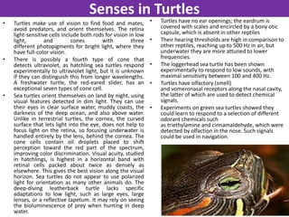 Major Aquatic Reptiles with special focus on Anatomy and Biology and ...