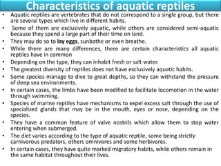 Major Aquatic Reptiles with special focus on Anatomy and Biology and ...