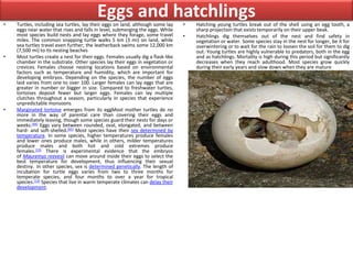 Major Aquatic Reptiles with special focus on Anatomy and Biology and ...