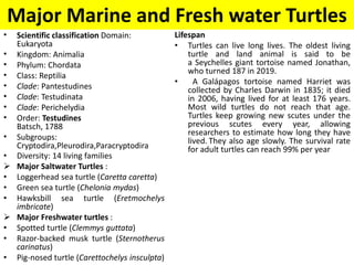 Major Aquatic Reptiles with special focus on Anatomy and Biology and ...