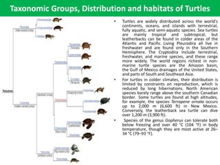 Major Aquatic Reptiles with special focus on Anatomy and Biology and ...