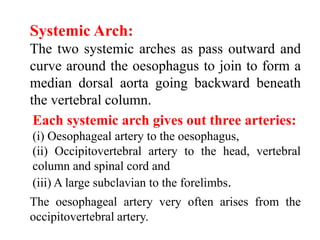 Major Arteries AS.pptx