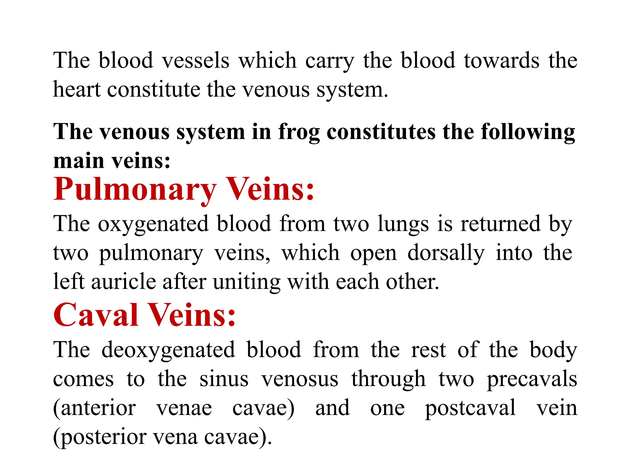 Major Arteries VS.pptx