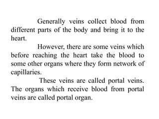 Major Arteries VS.pptx