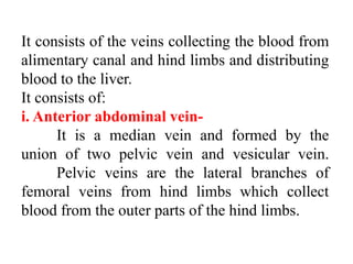Major Arteries VS.pptx