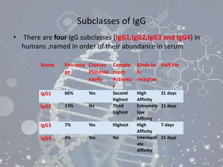 Immunoglobulin classification | PPTX