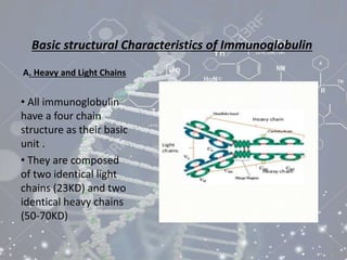 Immunoglobulin classification | PPTX