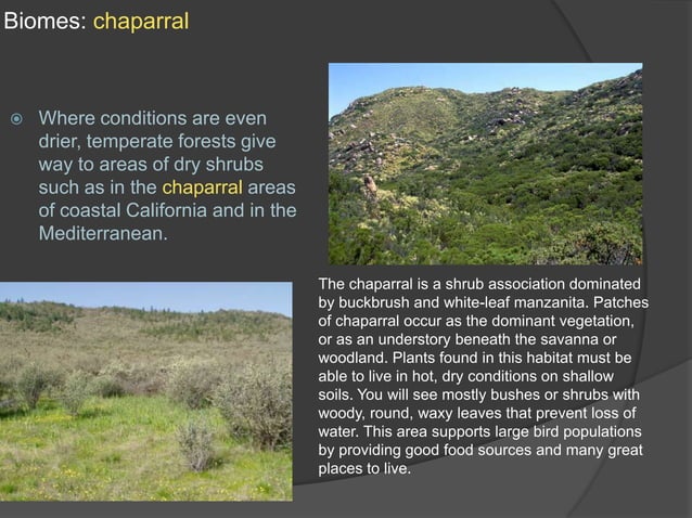 Major biological communities | PPT