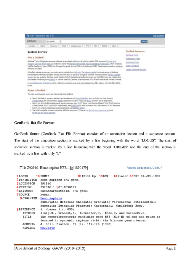 Major biological nucleotide databases | DOCX | Databases | Computer Software and Applications