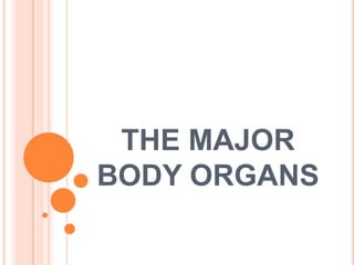 Major body organs | PPT