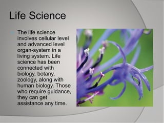 Major Branches of Science for Assignment Writing | PPT