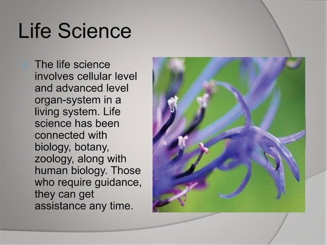 Major Branches of Science for Assignment Writing | PPT
