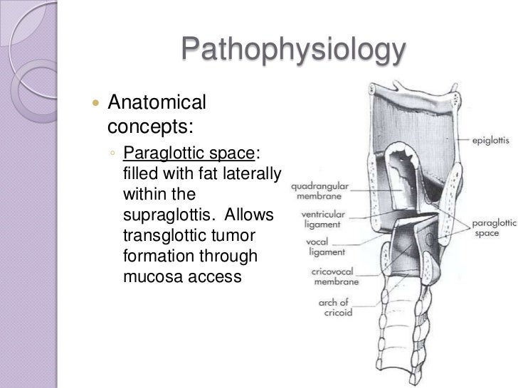 Major Case Study Presentation