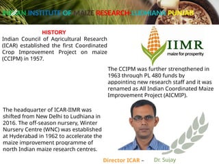 MAJOR CEREALS AND PULSE RESEARCH STATIONS.pptx