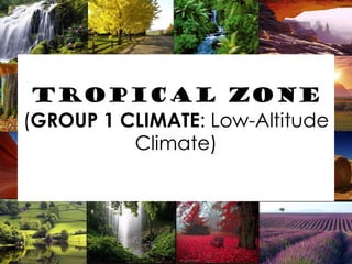 Major climate zones on earth | PDF