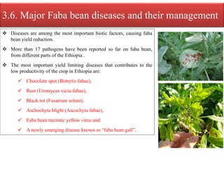 Major Common beandisease.pdf.pptx