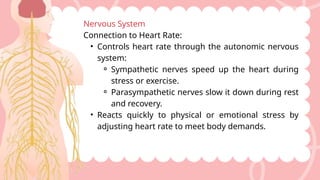 Major Components and Functions of the Human Movement Systems.pptx