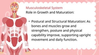 Major Components and Functions of the Human Movement Systems.pptx