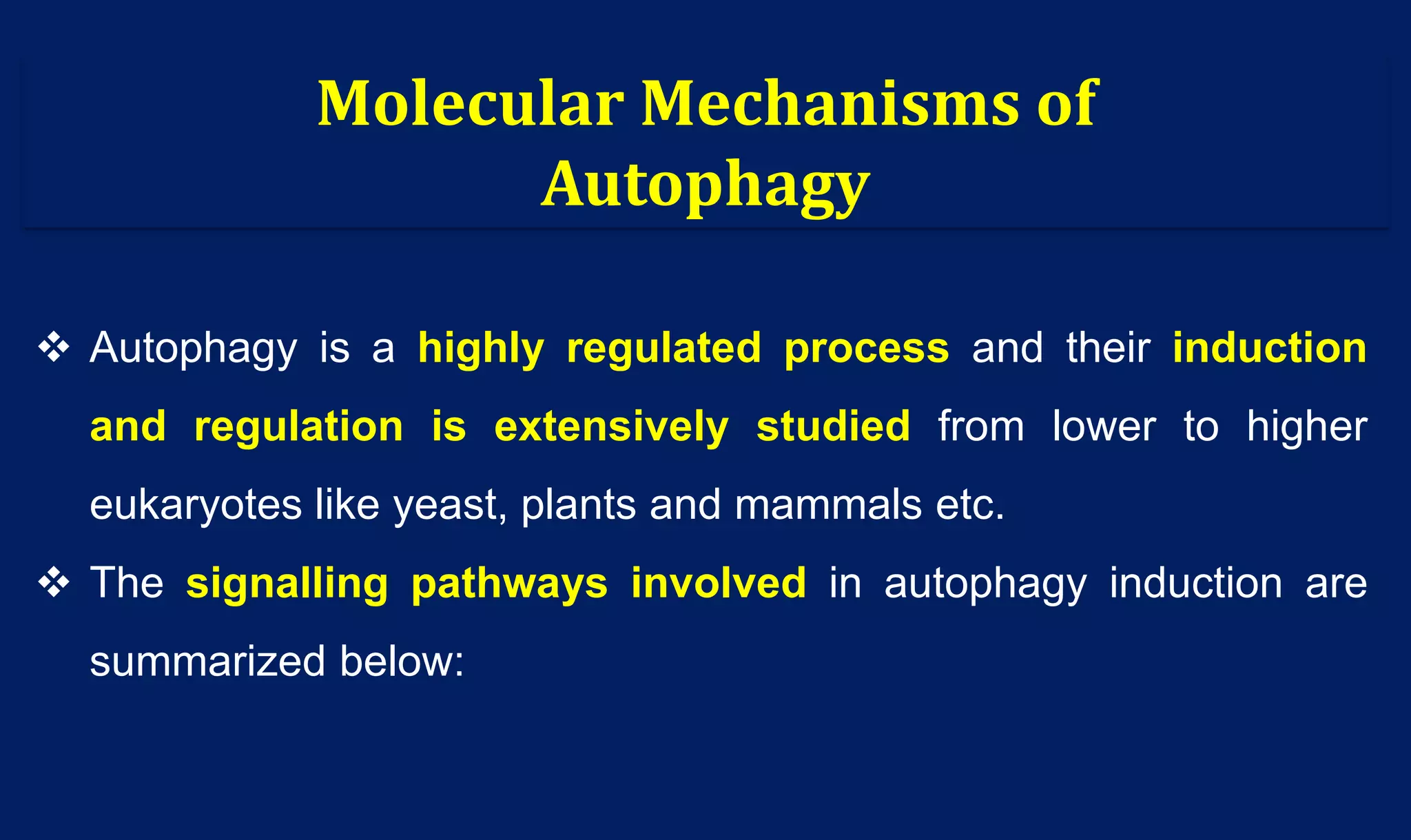 Molecular mechanisms of Autophagy and its Role in Plant Immunity ...