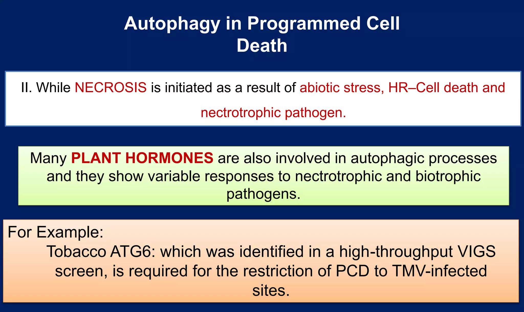 Molecular mechanisms of Autophagy and its Role in Plant Immunity ...