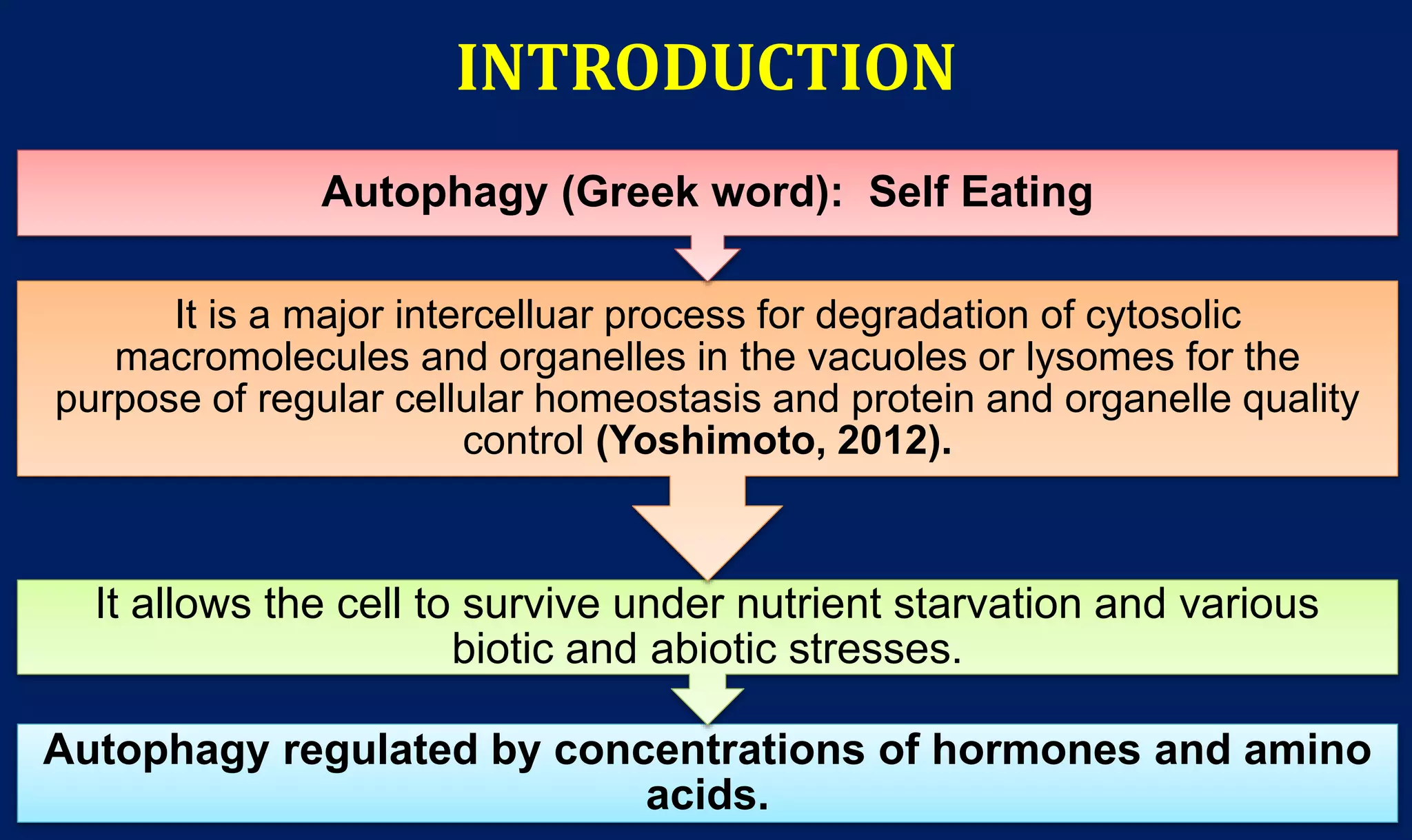 Molecular mechanisms of Autophagy and its Role in Plant Immunity ...